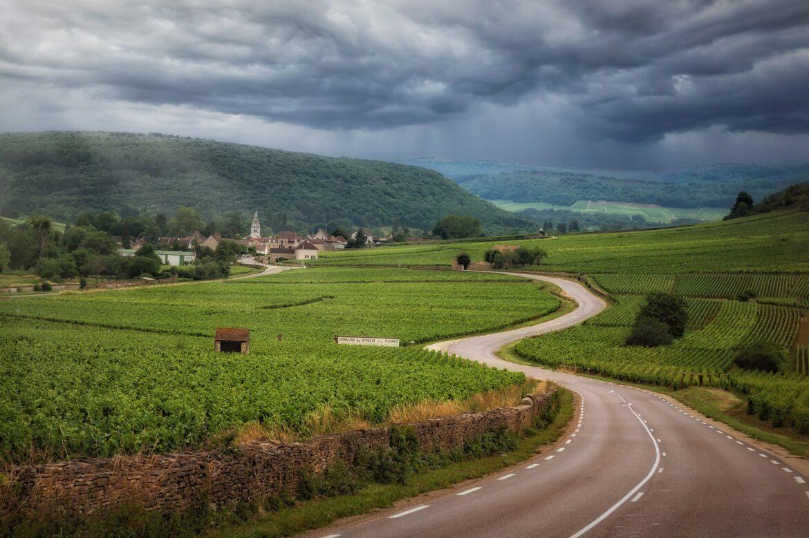 Cosa vedere in Borgogna: strada dei vini e cantine da visitare
