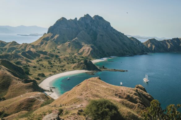 Isola di Komodo: come arrivare, cosa fare e vedere